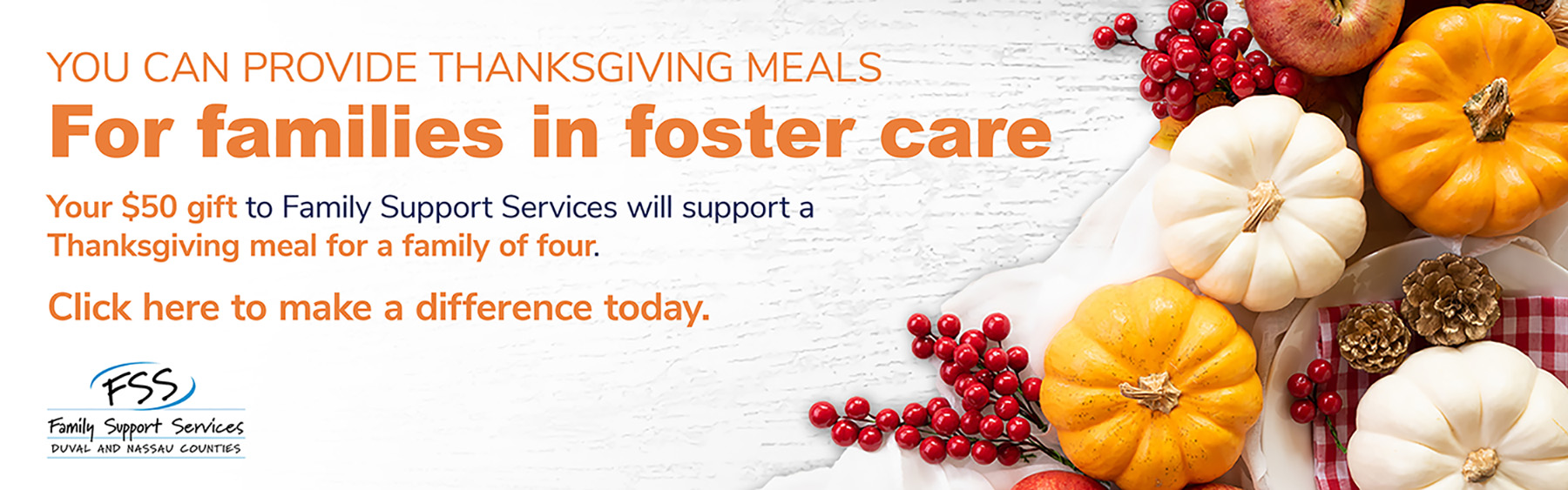 Home - Family Support Service of North Florida, Inc.